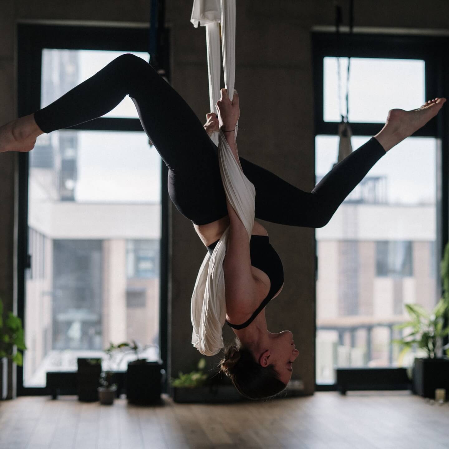 Pro Members Competition - Fit Social